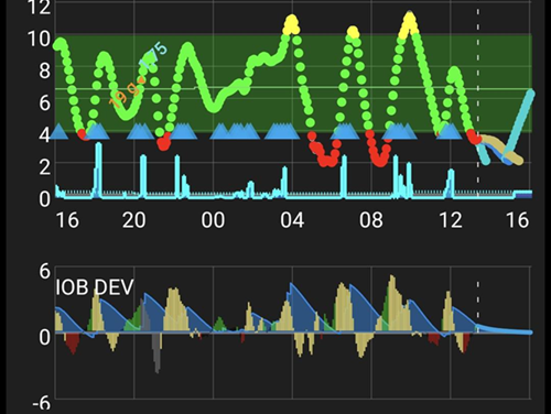 Tweaking the AAPS’ Profile — AndroidAPS 3.3 documentation